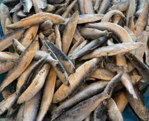 Whole Sprats - 1kg